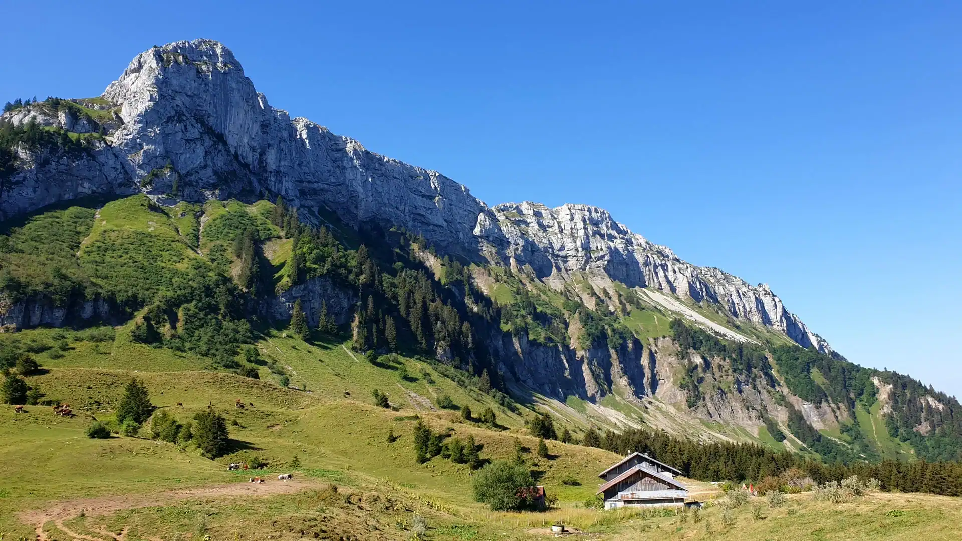 Groisy le Bois des Pesses • Marche en Fillière