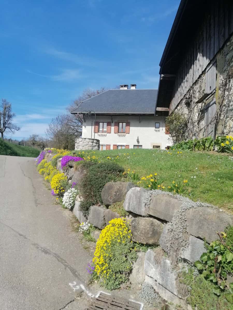 Paysage des Lanches autour de Montagny les Lanches • Marche en Fillière